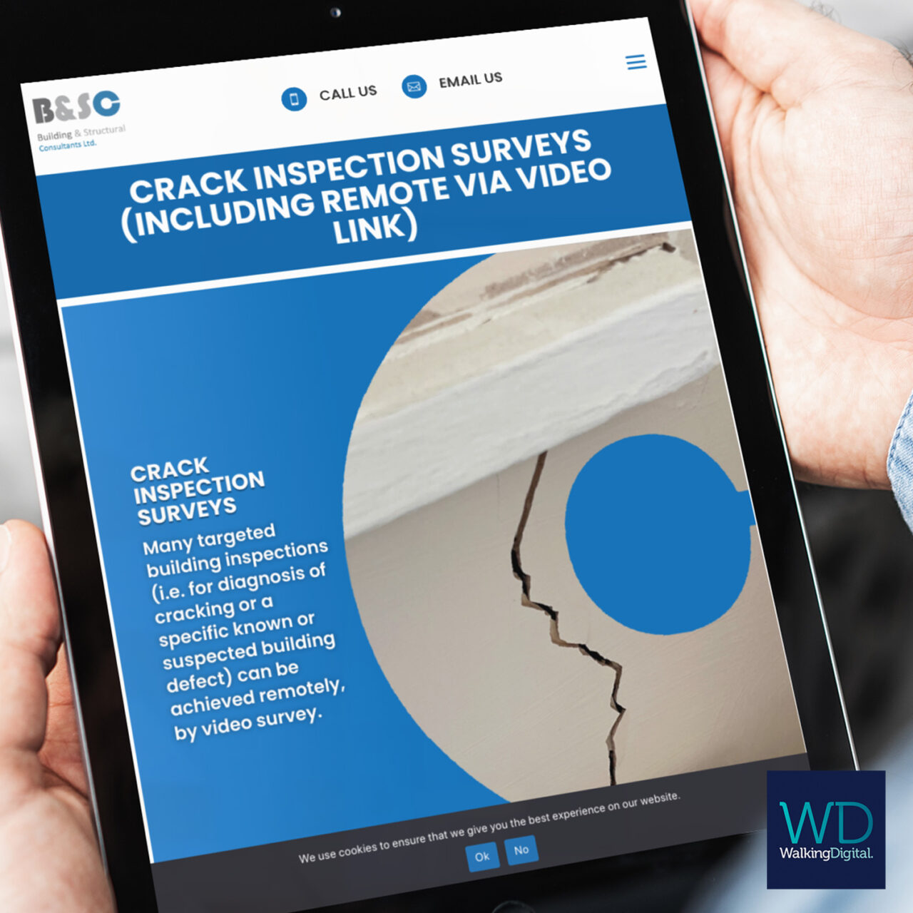 B&SC - Walking Digital